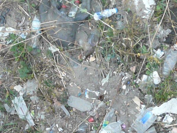 grass with trash texture 0022 - Texturelib